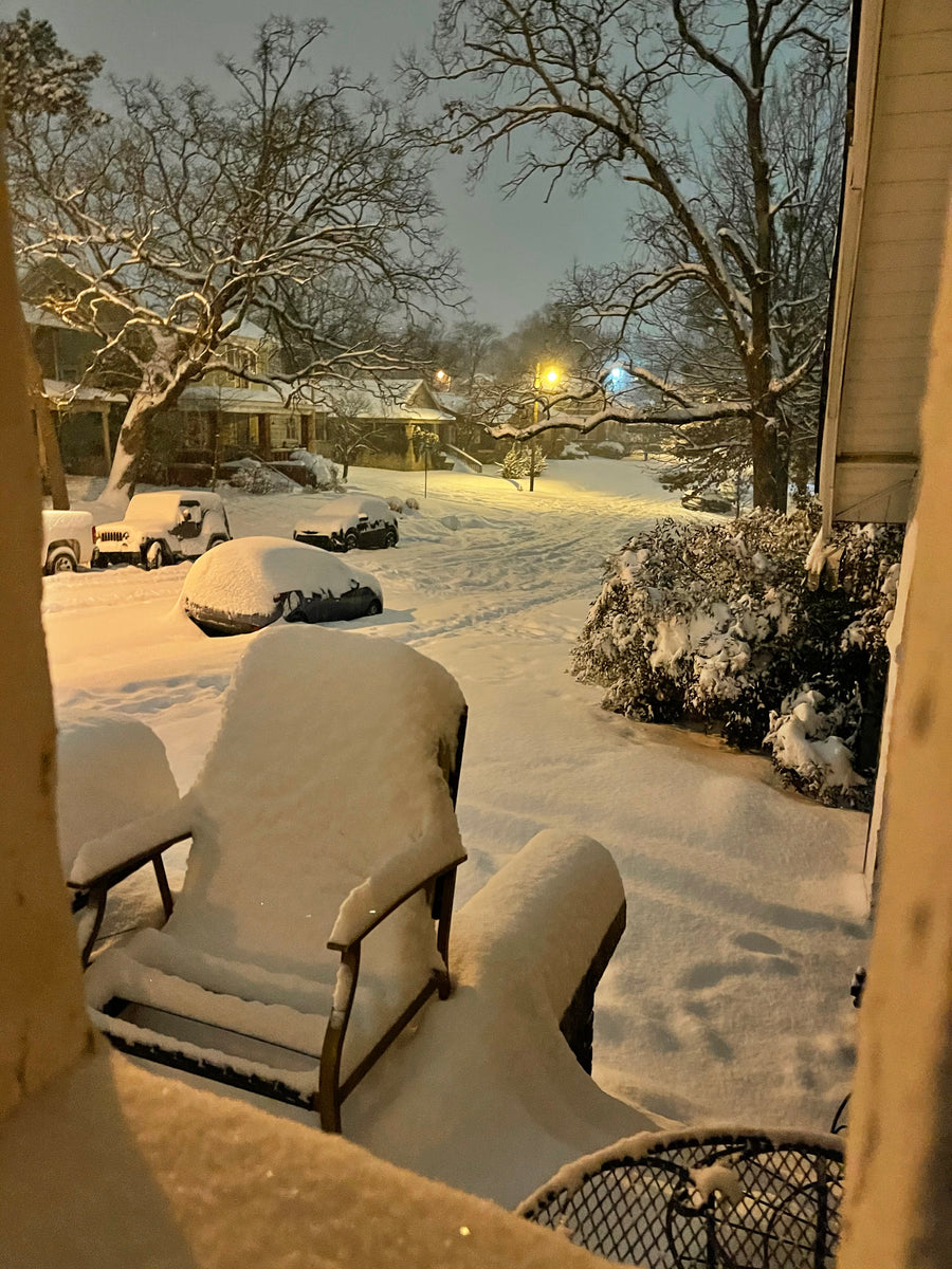 Narnia! – Christy Matthews Art